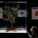 Exquisite Creatures Exhibit By Christopher Marley - Practical Details for Visitors