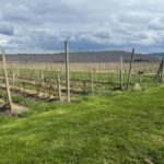 Farmington: Canandaigua Lake Wine Tasting Tour - What Makes This Tour Stand Out?