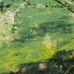 Flexible Jiuzhaigou Day Tour Options: Shared or Private - Exploring Jiuzhaigou: What You Need To Know