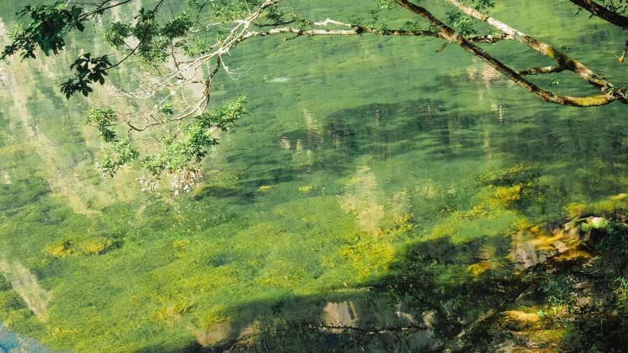 Flexible Jiuzhaigou Day Tour Options: Shared or Private - Exploring Jiuzhaigou: What You Need To Know