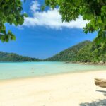 From Khao Lak: Full-Day Snorkeling in the Surin Islands - What the reviews reveal about the experience
