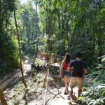 From Krabi: Cheow Lan Lake Cruise and Khao Sok Jungle Hike - Authentic Experiences and Value