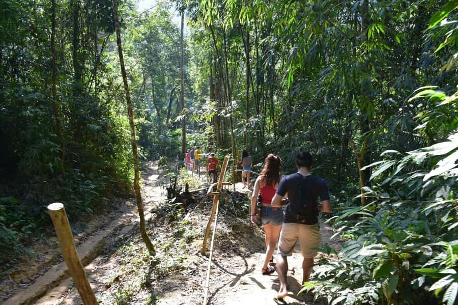 From Krabi: Cheow Lan Lake Cruise and Khao Sok Jungle Hike - Authentic Experiences and Value