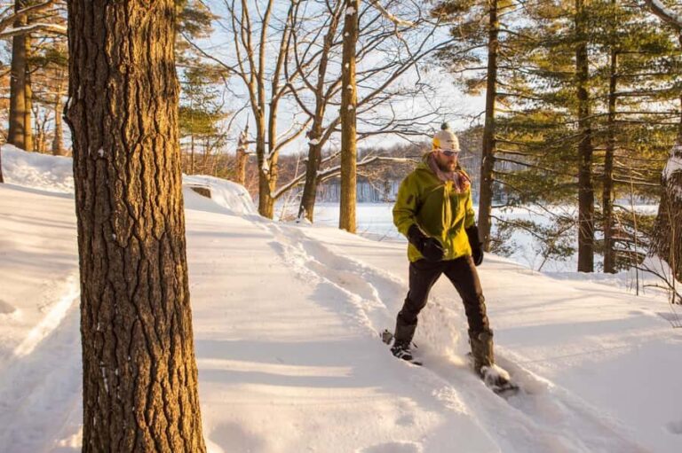 From Montreal: Mont-Saint-Bruno National Park Snowshoe Hike - What to Expect During Your Visit