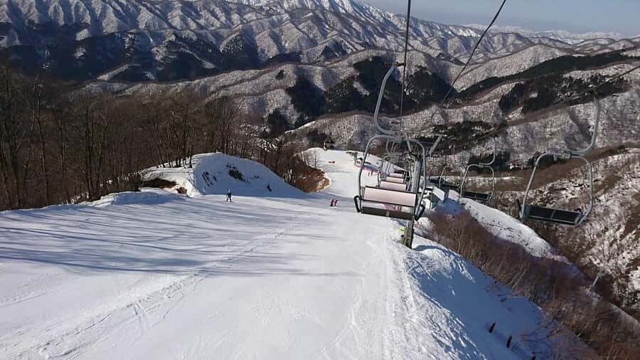 From Osaka: Japans Popular Okuibuki Ski Resort Day Trip - Why This Tour Works for Different Types of Travelers