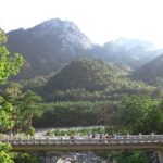 From Seoul: Mt. Seorak & Cherry Blossom & Foodie Tour - Who Should Consider This Tour?