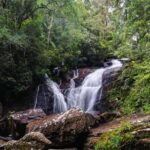 From South Coast: Sinharaja Rainforest Day Trip - Practical Details & Value