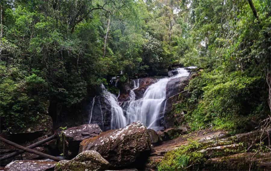 From South Coast: Sinharaja Rainforest Day Trip - Practical Details & Value
