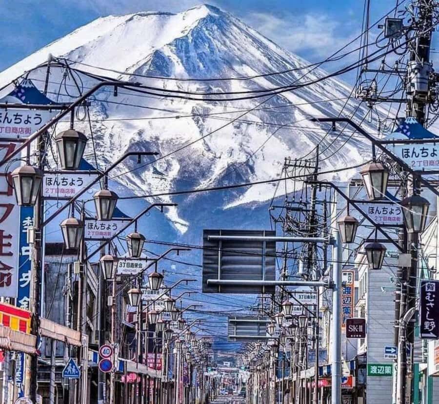 From Tokyo: Mount Fuji Private Tour with English Guide - Practical Details That Matter