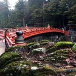 From Tokyo: Nikko Private Tour with Guide & Pickup - Who Is This Tour Best For?