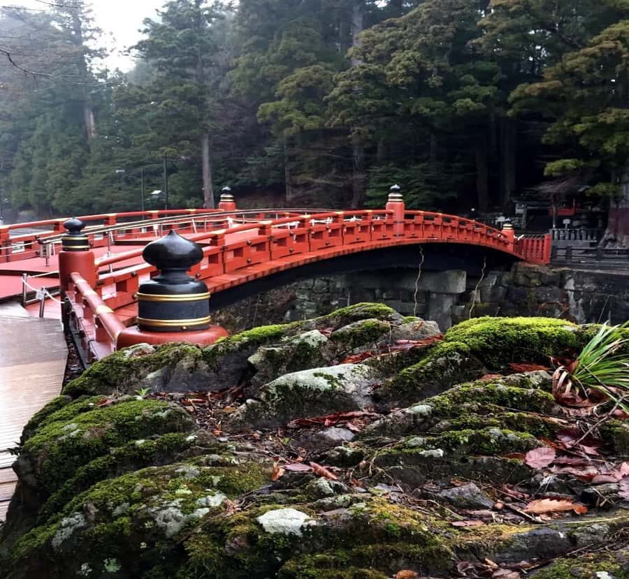 From Tokyo: Nikko Private Tour with Guide & Pickup - Who Is This Tour Best For?
