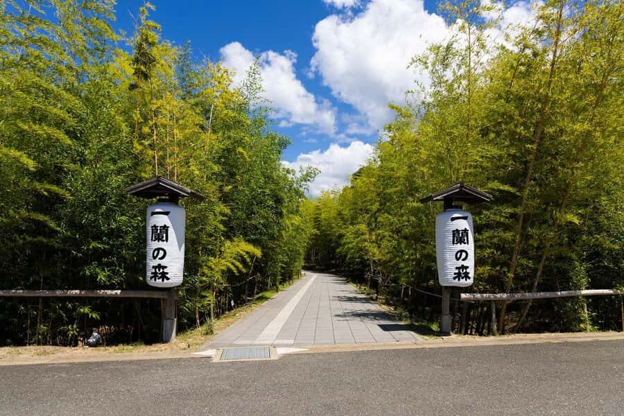 Fukuoka: 6-Day Kyushu & Kansai Tour - Practical Insights & Traveler Experience