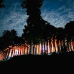 Fushimi Inari Night Hike - Practical Details and Value