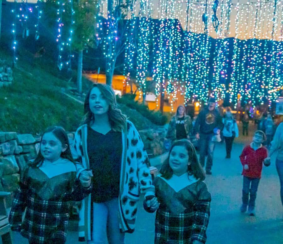 Gatlinburg: Anakeesta Adventure Park Entry Ticket - The Good, The Bad, and The Worthwhile