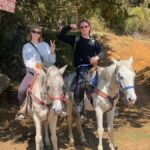 Go horseback riding in the forest and visit San Juan Chamula - Who Would Enjoy This Tour?