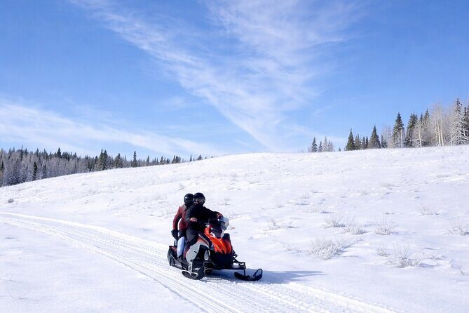 Guided On Trail Snowmobile and UTV Tours Near Rabbit Ears Pass - A Closer Look at the Experience