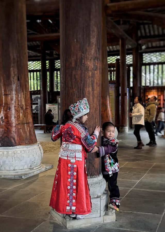 Guilin to Sanjiang: Dong Village, Local Lunch & Tea Mountain - Who Will Enjoy This Tour?