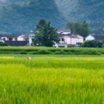 Guiyang: Maling River Gorge & Wanfenglin 2-Day Tour - Detailed Breakdown of the Itinerary