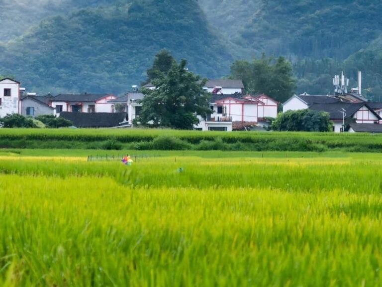 Guiyang: Maling River Gorge & Wanfenglin 2-Day Tour - Detailed Breakdown of the Itinerary