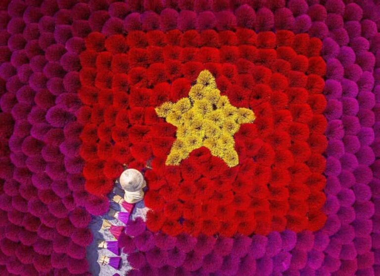 Hanoi: Bird Park & Bach Ma Temple Or Hat & Incense Village - The Value of This Experience