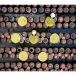 Hanoi: Fish Trap, Soy Sauce Village or Hat & Incense Village - Practical Details: What You Need to Know