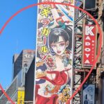 Includes a sukiyaki bento box ! Samurai Restaurant in Shinjuku - Final thoughts