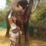 Jaipur Elephant Village: Elephant Riding, Painting, Feeding - Why It’s a Good Choice for Travelers