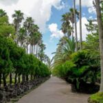 Jeju: Premium Small Group UNESCO Day Tour - West Coast - Why This Tour Offers Great Value