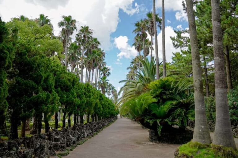 Jeju: Premium Small Group UNESCO Day Tour - West Coast - Why This Tour Offers Great Value