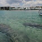 Jupiter: Private Sightseeing Boat Tour With Wildlife - Navigating the Itinerary: What to Expect