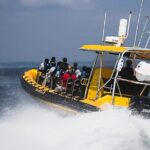 Kailua-Kona Adventure Whale Watch - Embarking from Honokohau Harbor