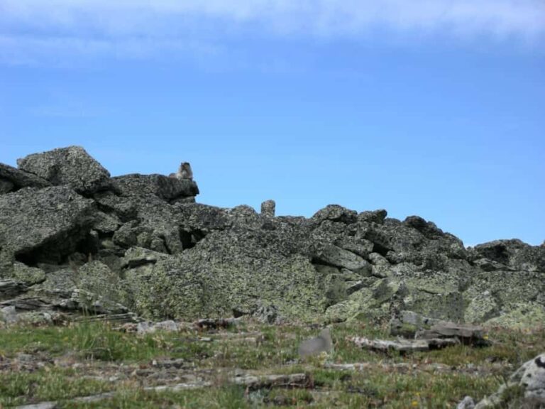 Kananaskis Country: Day Hike - Meeting Point and Logistics