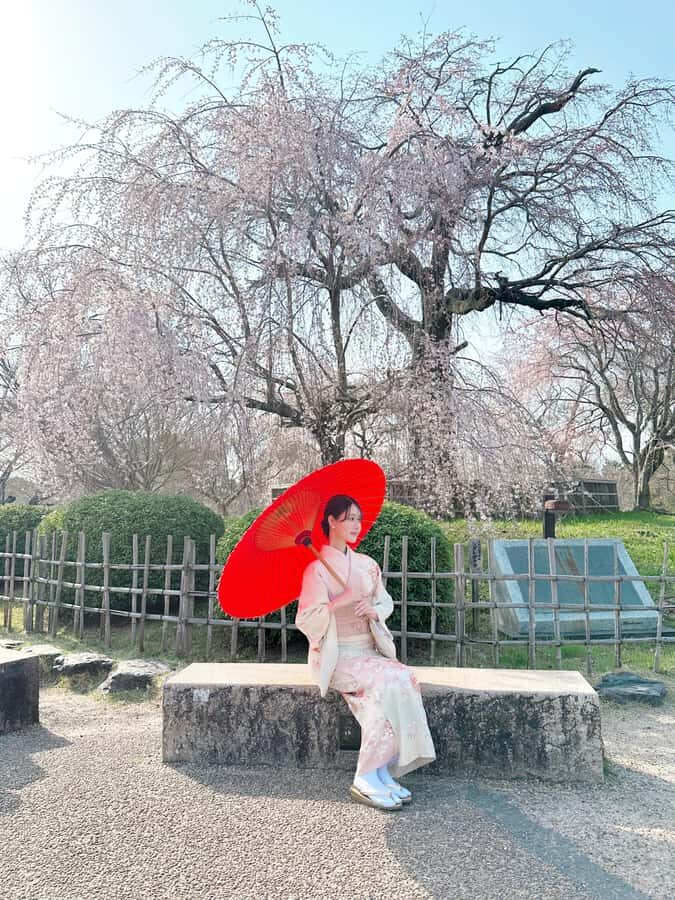 Kanazawa:Family-Friendly Kimono & Yukata Experience at WARGO - Who Will Love This Experience?