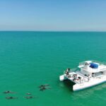Key West: Dolphin & Reef Snorkel Trip with Sunset Option - What to Expect on This Tour