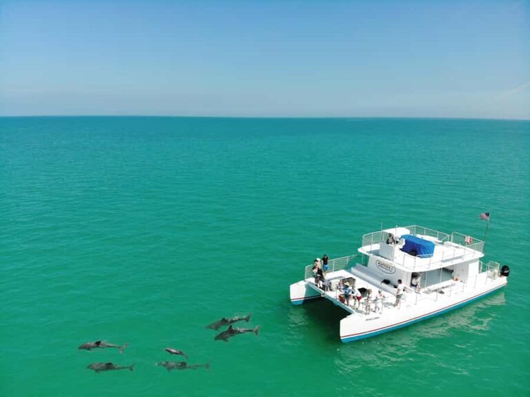 Key West: Dolphin & Reef Snorkel Trip with Sunset Option - What to Expect on This Tour