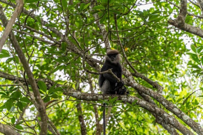 Koggala Lake Boat Safari with Malish - Who Is This Tour Ideal For?