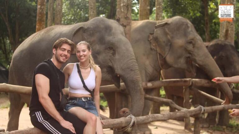 Koh Samui: Elephant Sanctuary Entry and Feeding Experience - Who Should Consider This Tour?