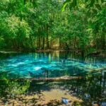 Krabi Jungle Escape Emerald Pool and Hot Springs Tour - How the Experience Comes Together