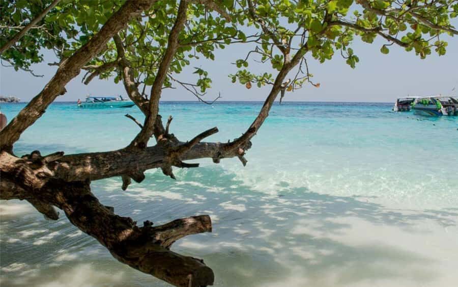 Krabi: Similan Islands Day Trip by Speedboat & Buffet Lunch - The Experience from the Travelers Perspective