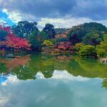 Kyoto Private Customizable Tour With Guide & Luxury vehicle - Why This Tour Offers Good Value