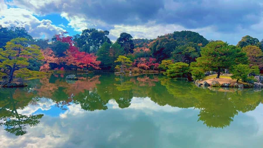 Kyoto Private Customizable Tour With Guide & Luxury vehicle - Why This Tour Offers Good Value