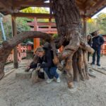 Kyoto Private Tour  Licensed Guide & Car from Osaka/Kyoto - Important Practical Details