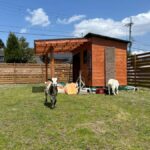 LOCATION:Kyoto City Japanese Caregiving Culture Tour - Practical Details: What You Need to Know