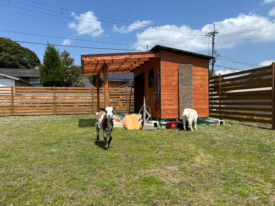 LOCATION:Kyoto City Japanese Caregiving Culture Tour - Practical Details: What You Need to Know