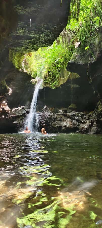 lombok : black monkey , rice terace ,waterfall tetebatu - What Makes This Tour Stand Out
