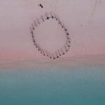 Lombok: Pink Beach and Snorkeling Trip With Lunch - The Practicalities: What Makes It Worthwhile?