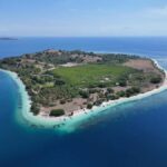 Lombok Snorkeling Secret Islands: Blue Coral & Hidden Gilis - Snorkeling at Gili Gede’s Blue Coral Reef