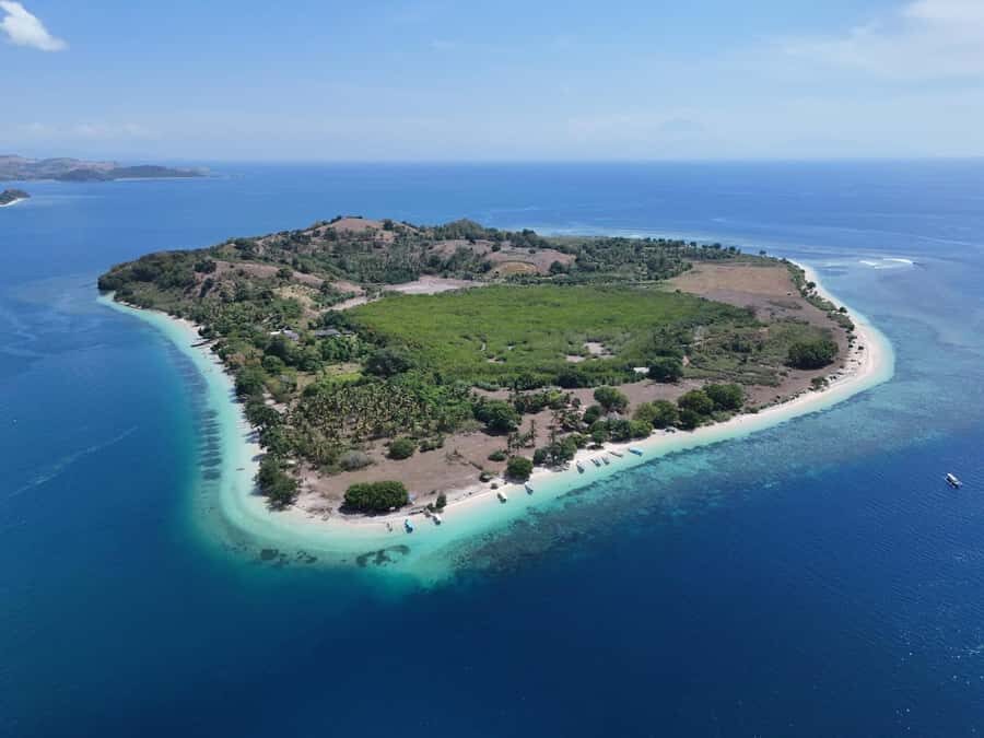 Lombok Snorkeling Secret Islands: Blue Coral & Hidden Gilis - Snorkeling at Gili Gede’s Blue Coral Reef