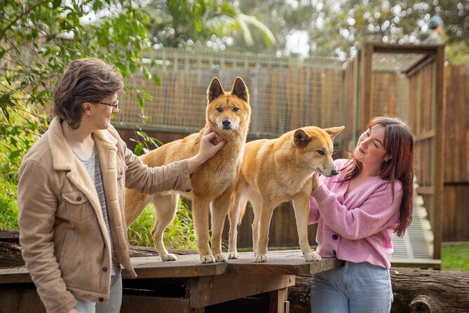 Lone Pine Koala Sanctuary Day Pass - FAQs About the Lone Pine Koala Sanctuary Day Pass