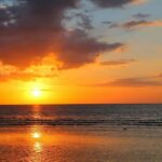 Lovina: Dolphin Tour with Sunrise View - The Experience: What You Can Expect